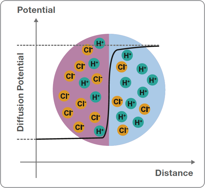The Diffusion Potential of a pH Sensor | Process Analytics | Hamilton ...